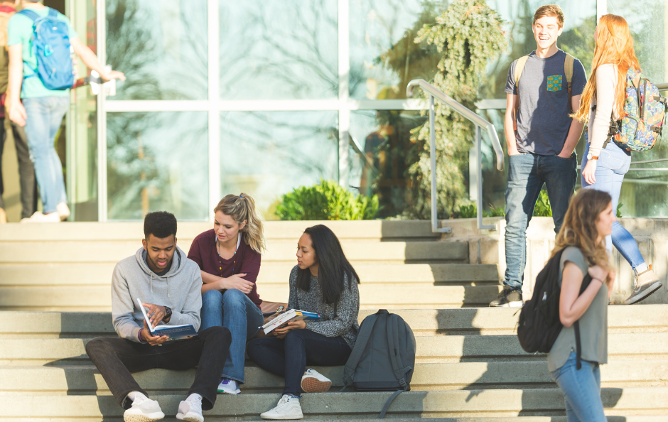 Fostering Sustainability in Schools and Higher Education Institutions ...